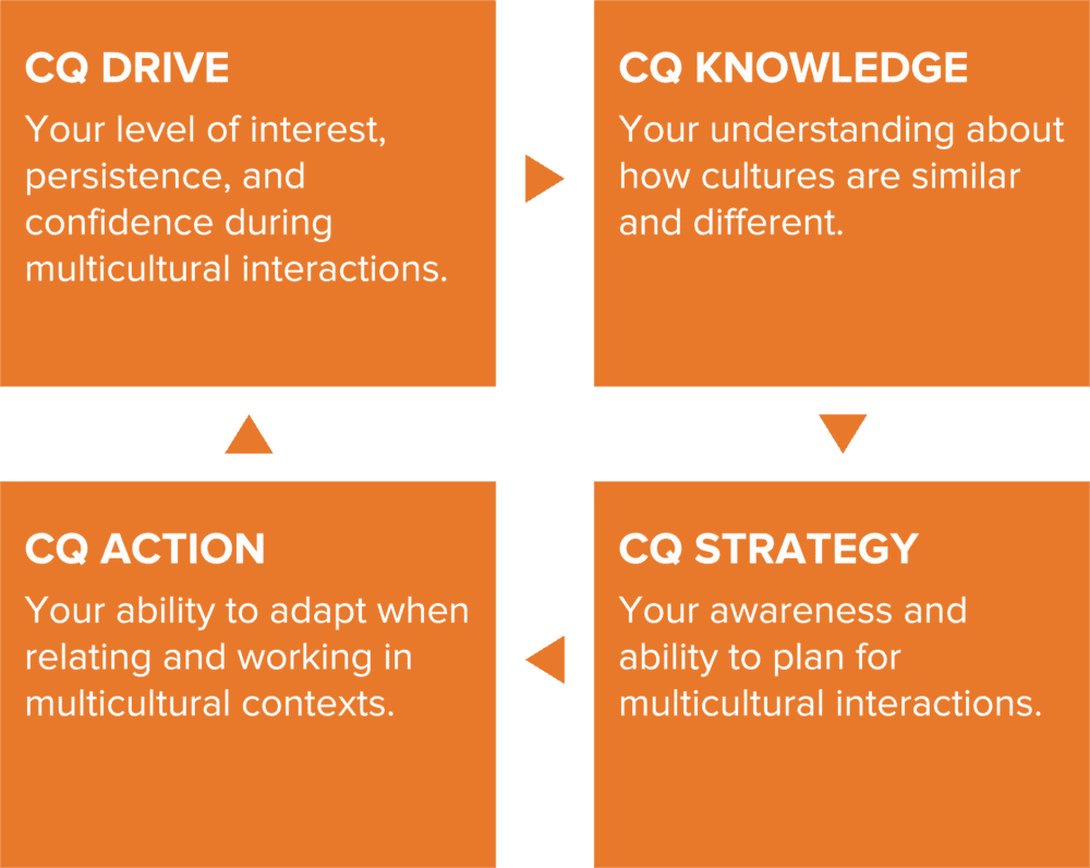 About us – Our Company - Cultural Intelligence Center